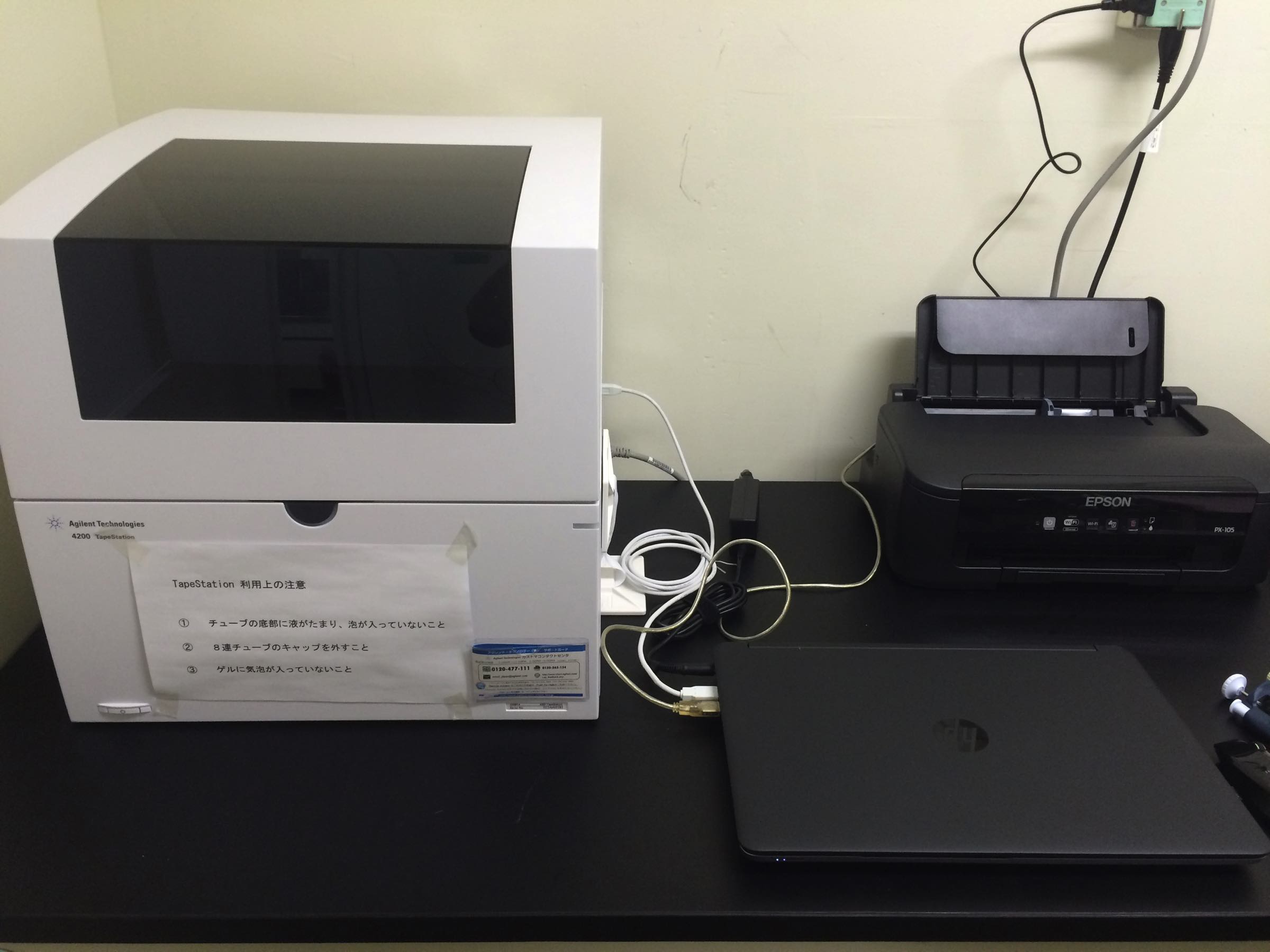 TapeStation | 北里大学 医学部 分子生物実験センター